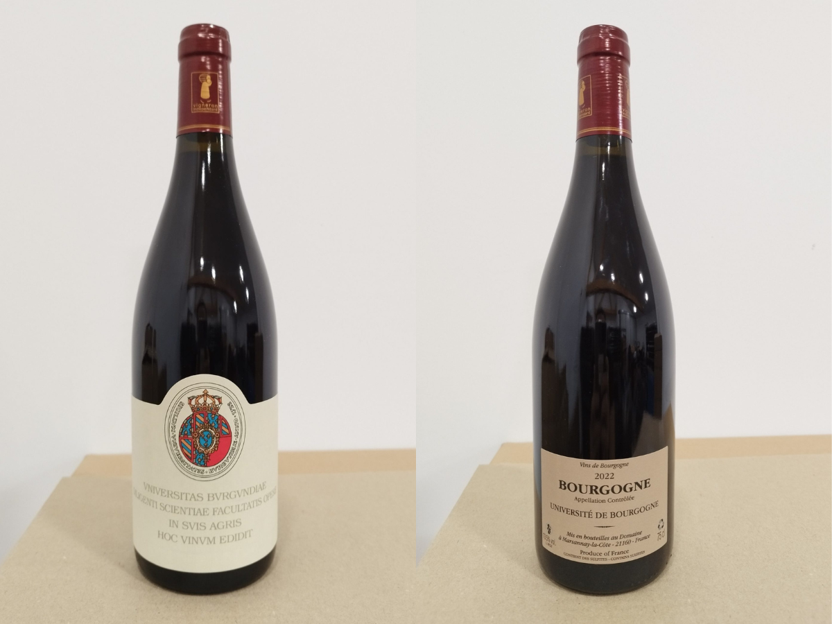 Le Bourgogne Rouge 2023 du domaine de l'UBE récompensé de deux ...